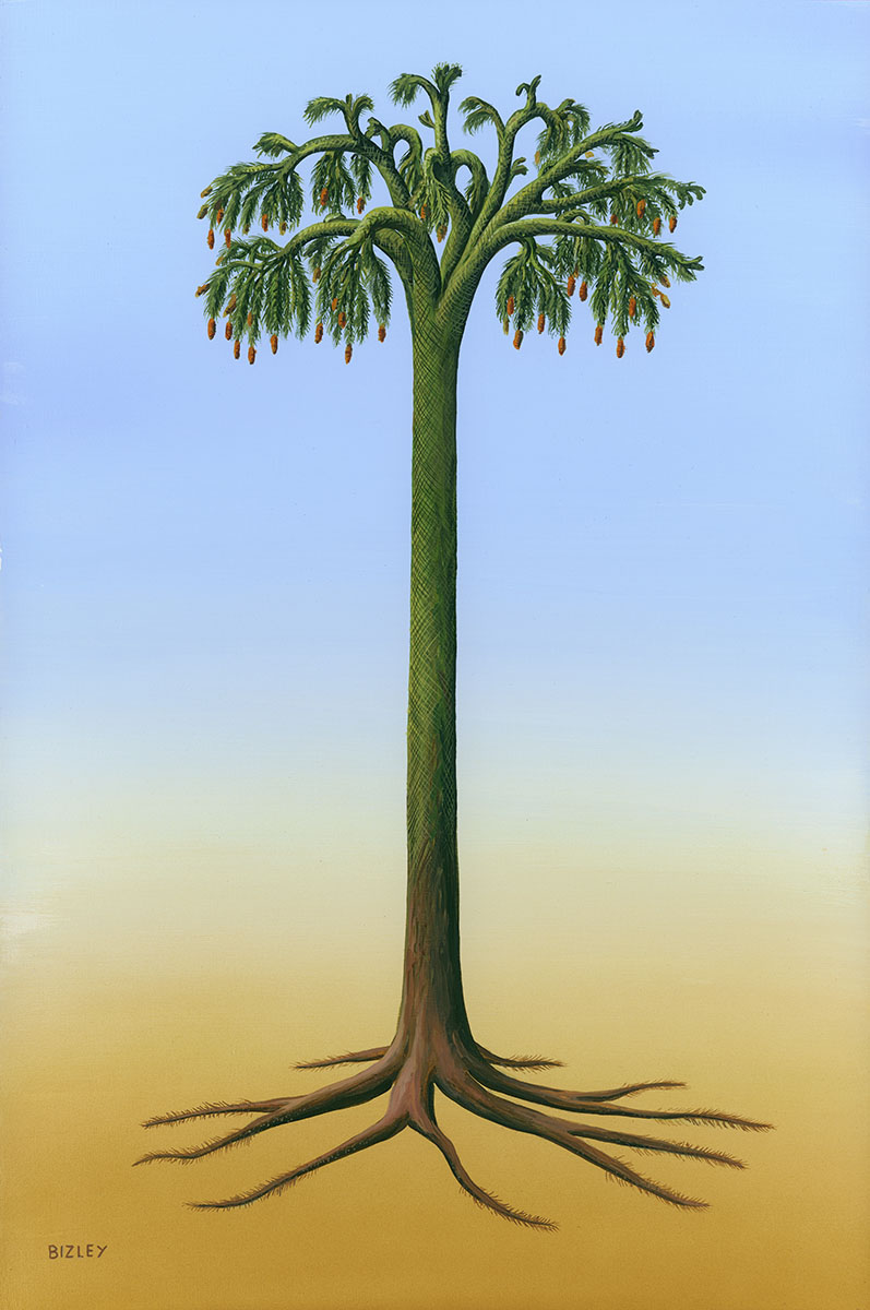 BizleyArt - Gallery - Category: Carboniferous - Image: 1720 Lepidodendron
