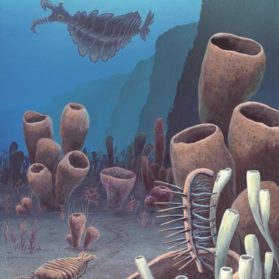 BizleyArt - Gallery - Category: Cambrian